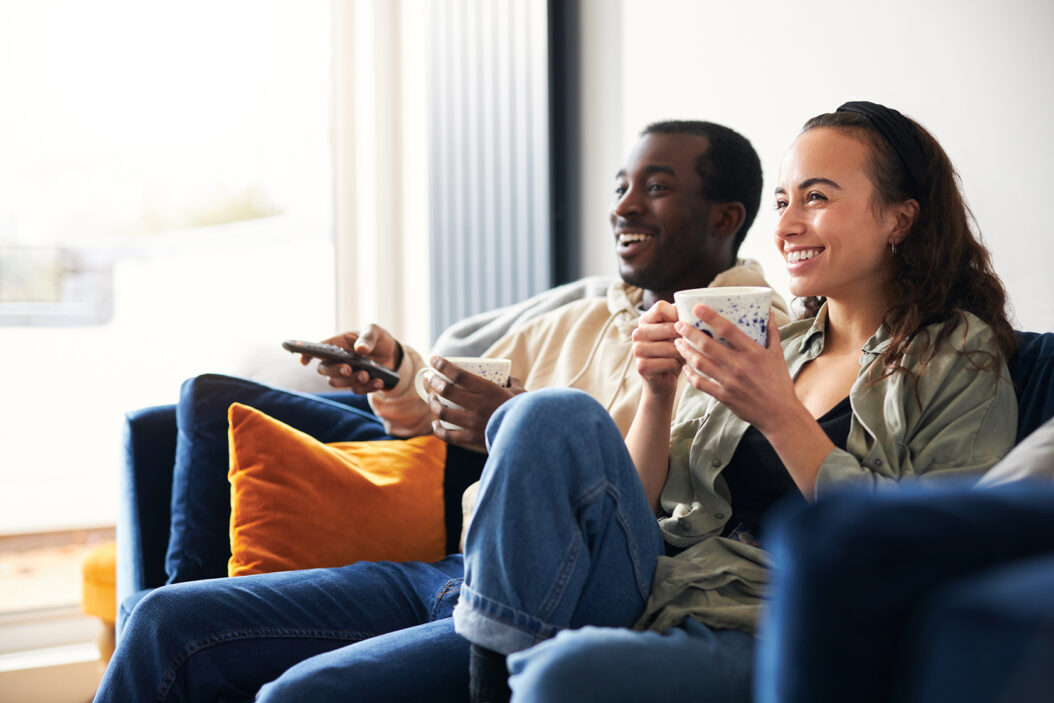 The Beginner’s Guide to Connected TV Advertising - AUDIENCEX