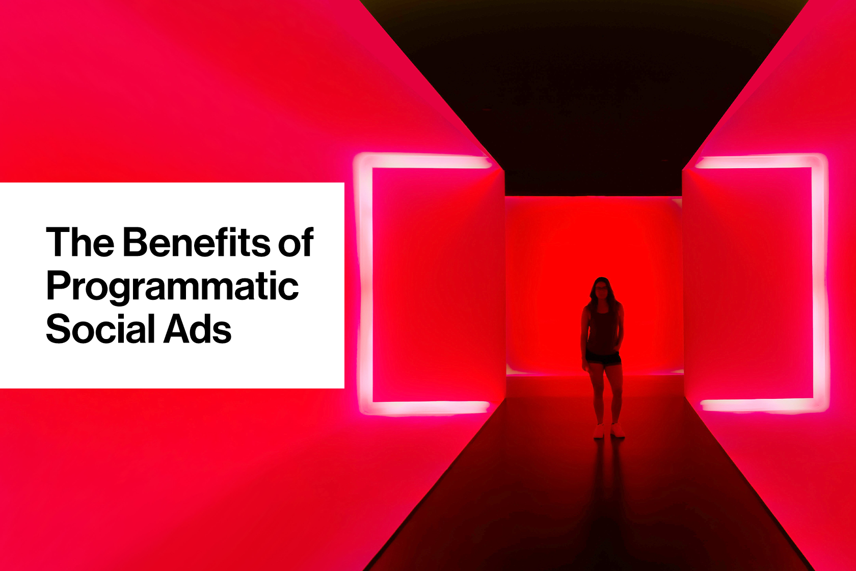 Programmatic Advertising And Social Media: Working Together