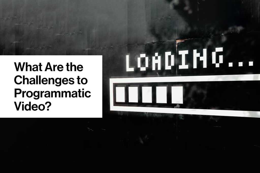 A Quick Guide to Programmatic Video Ads - AUDIENCEX