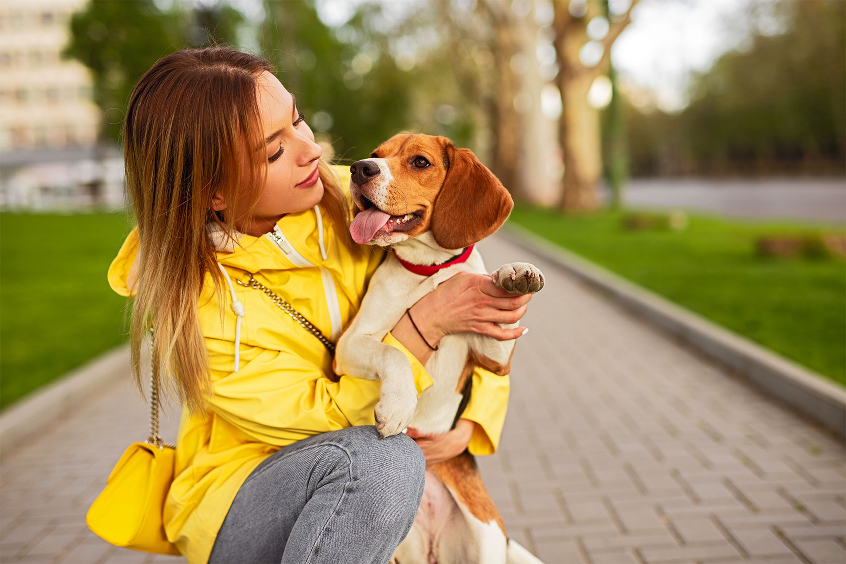 Creating a Successful Pet Marketing Strategy: A Guide - AX Insights